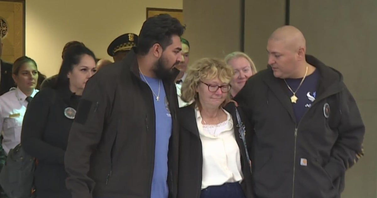 Man pleads guilty to weapons charges in murder of CPD officer Ella ...