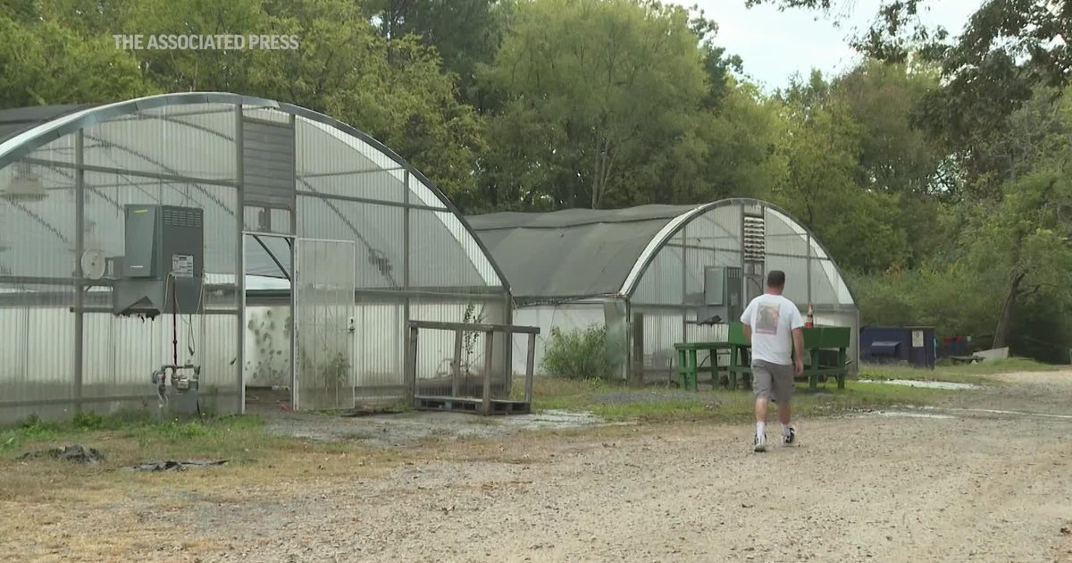 Pepper X crowned world's hottest pepper by Guinness World Records - CBS ...