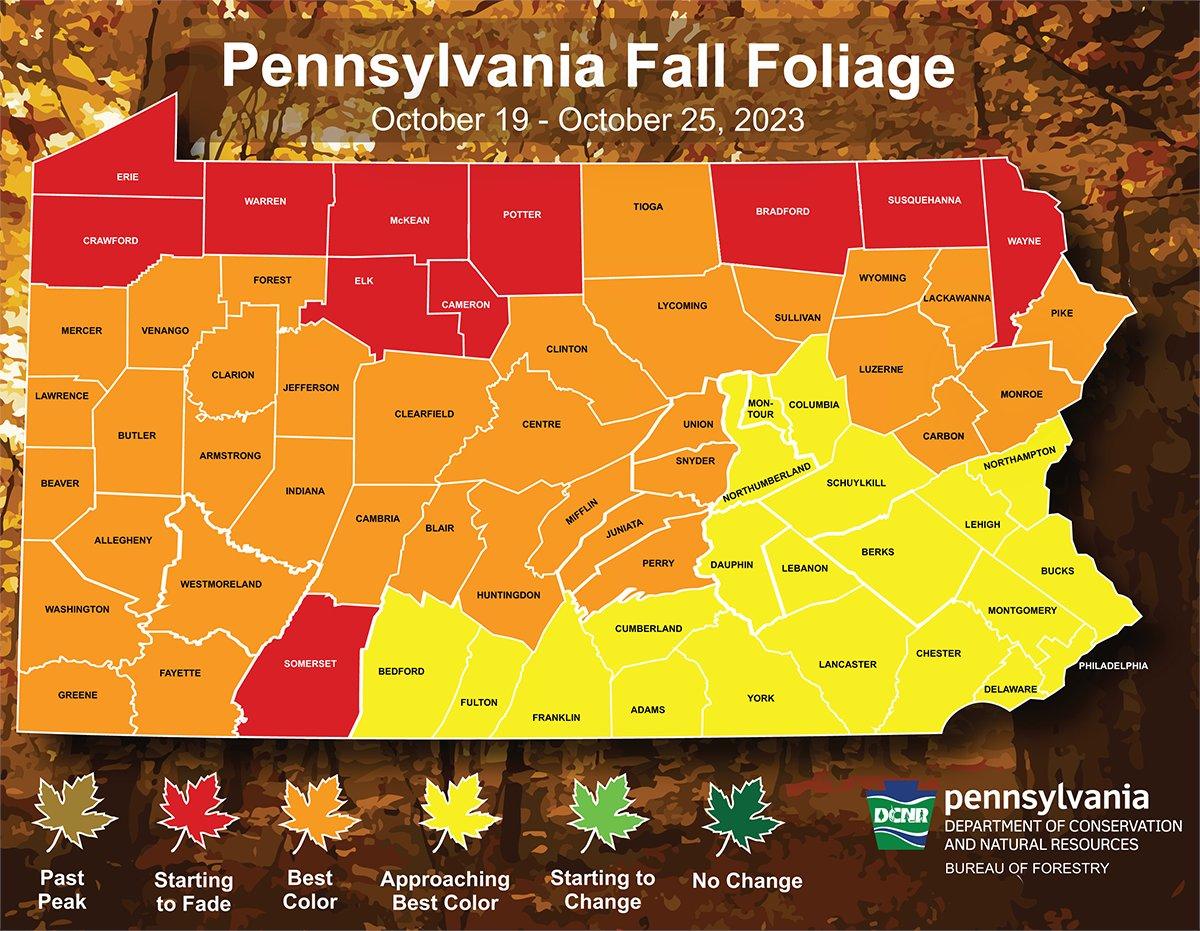 Fall Foliage Report: Expect 'impressive color' across Pennsylvania this ...