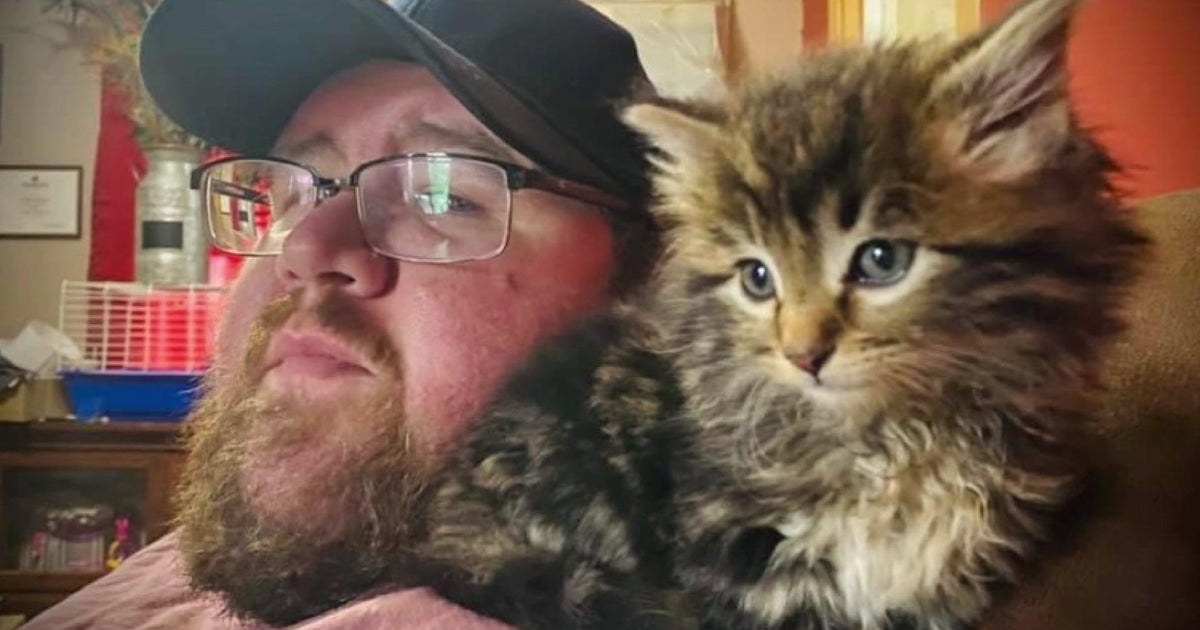 Beloved Minnesota butcher Curtis Olson killed in crash - CBS Minnesota