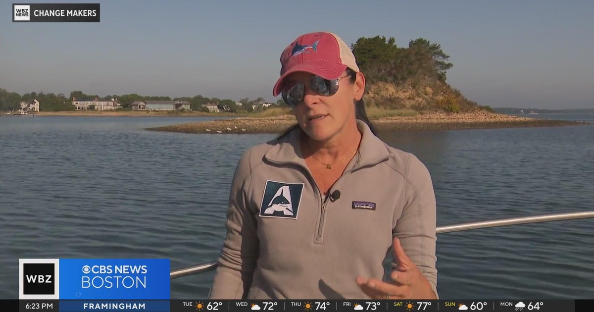 Change Makers: Cynthia Wigren, co-founder of Atlantic White Shark ...