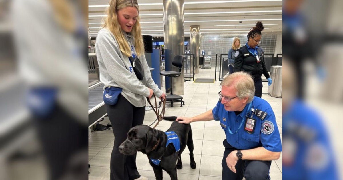 Guide dogs in training explore TSA checkpoint, other areas of BWI ... Guide dogs in training explore TSA checkpoint, other areas of BWI ...
