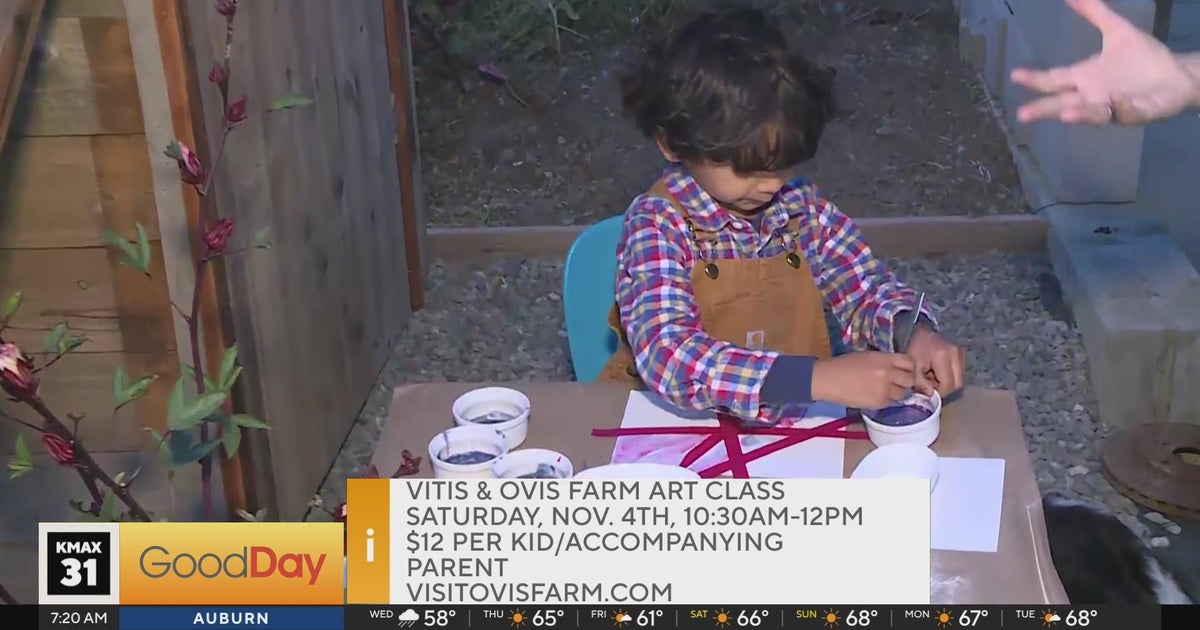 Vitis and Otis Farm Art Class - Good Day Sacramento