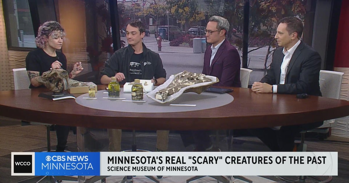 What scary things have called Minnesota home? - CBS Minnesota