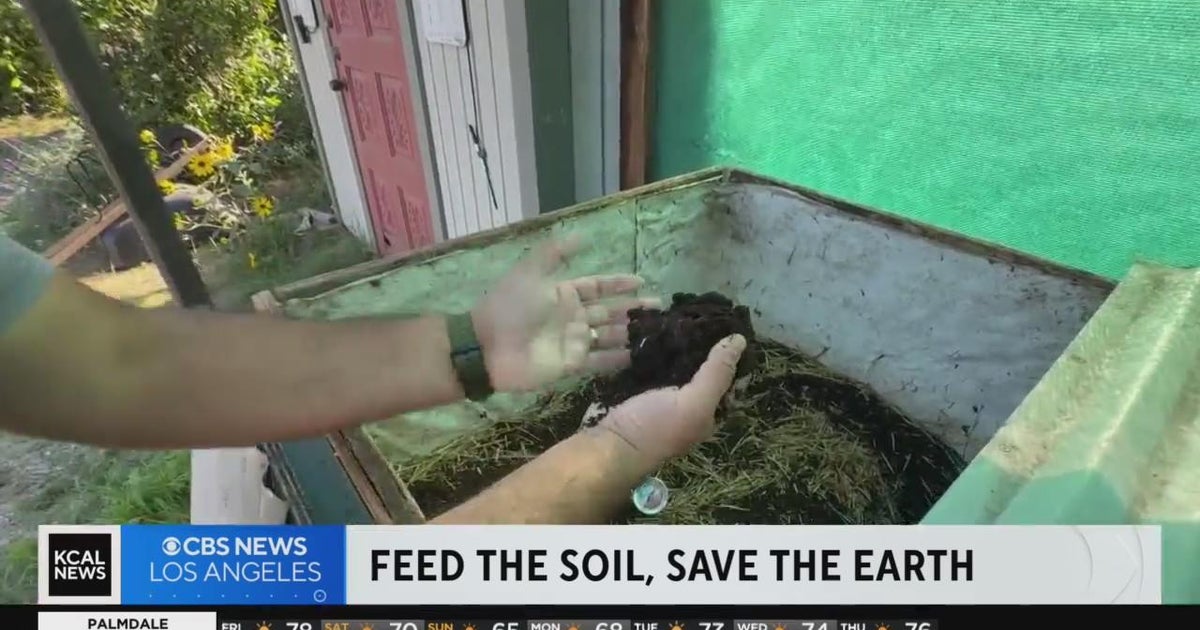 Former teacher promotes community composting with new educational book ...