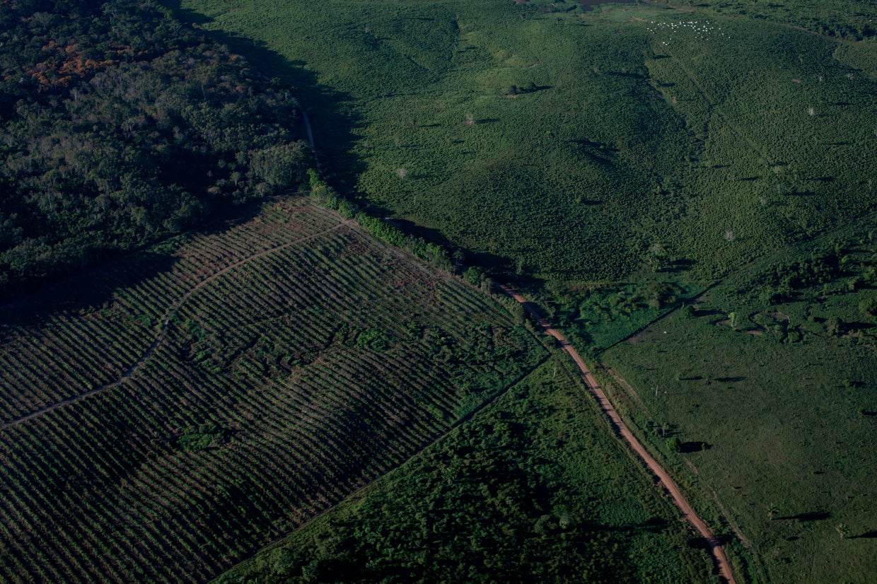 12 people killed, including baby, in plane crash in Brazilian Amazon ...