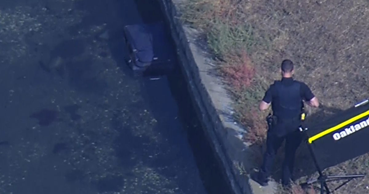Grim discovery: Body found inside a suitcase floating in Oakland's Lake ...
