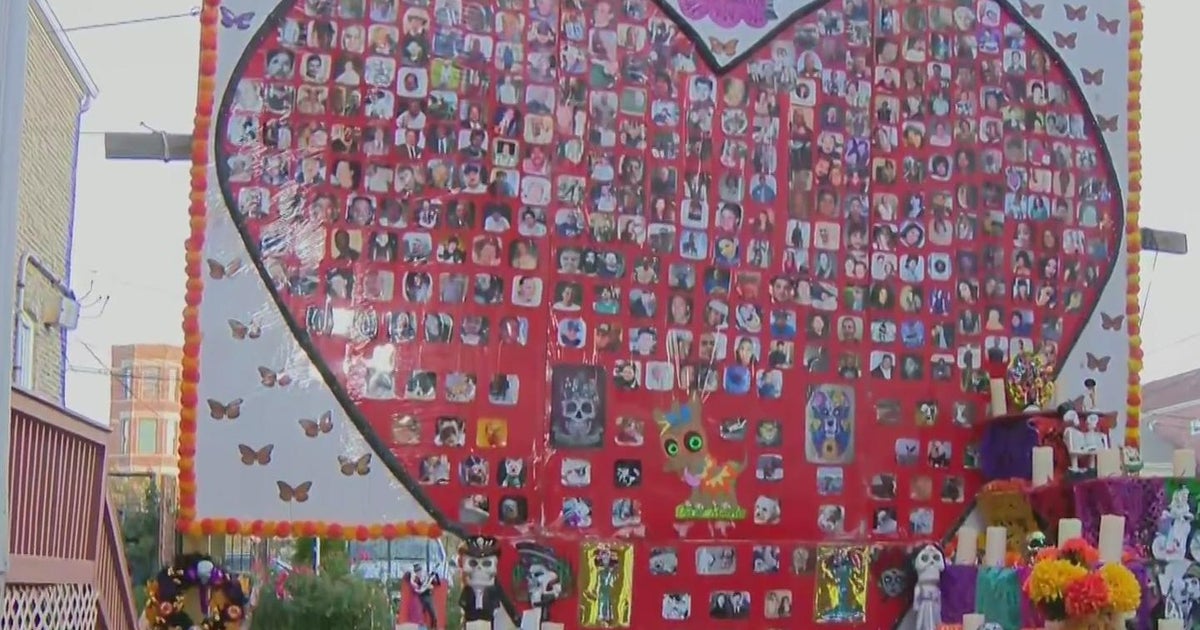 Celebrating Day of the Dead with 15-foot display in Chicago - CBS Chicago