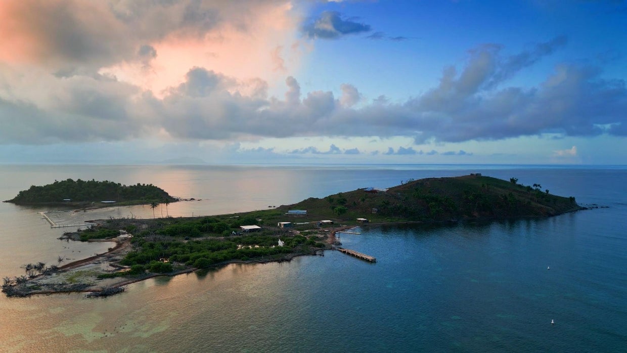 On Monkey Island, scientists have rare access to more than 6 decades of ...