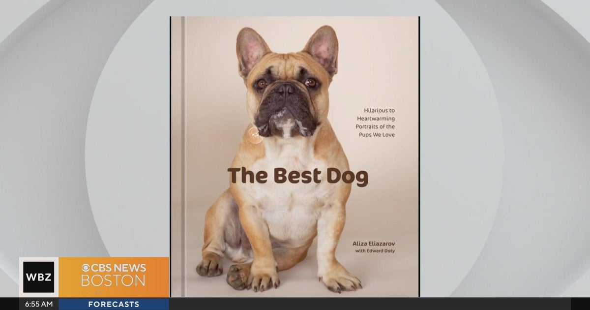 9 Massachusetts dogs among 100 featured in new book "The Best Dog ...