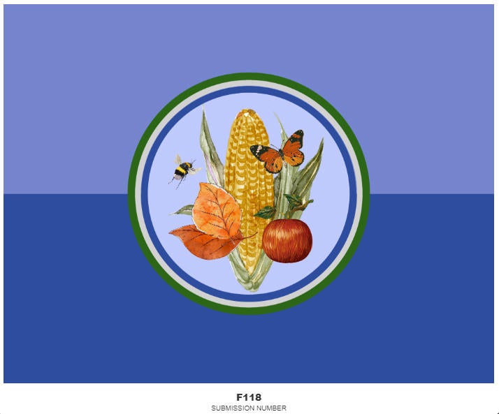 Minnesota state flag and seal submissions: The good, the bad, and the loony