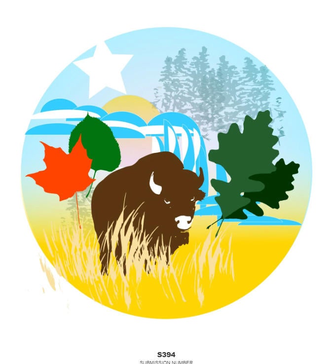 Minnesota state flag and seal submissions: The good, the bad, and the loony