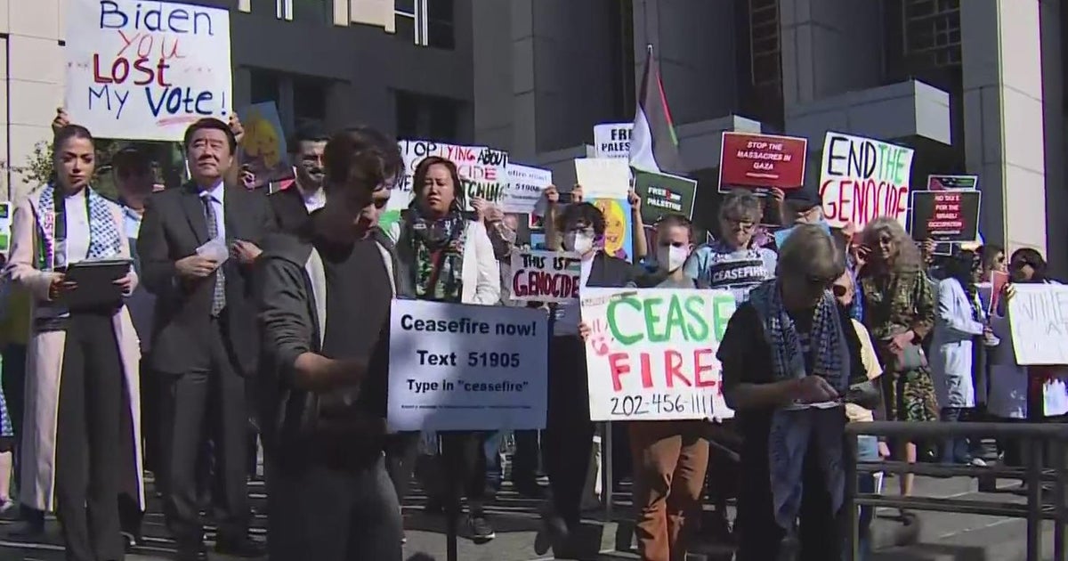 Sacramento protestors call for a ceasefire in Gaza as war enters month ...