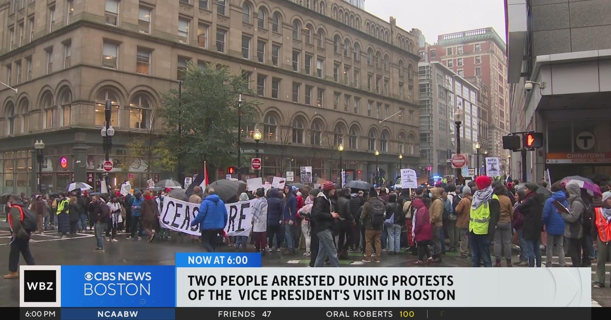 Protesters call for ceasefire in Gaza as VP Harris visits Boston - CBS ...