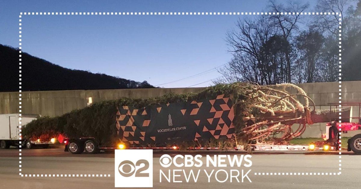 Rockefeller Center Christmas tree heads to Manhattan - CBS New York