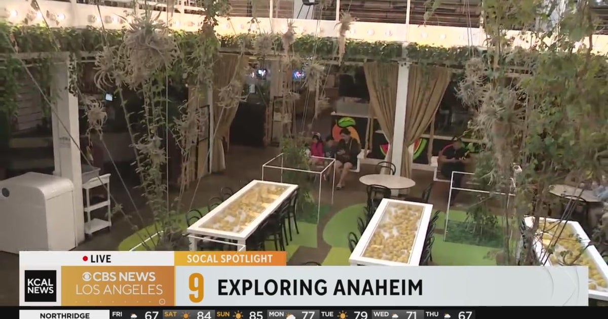 Anaheim Packing District: SoCal Spotlight - CBS Los Angeles
