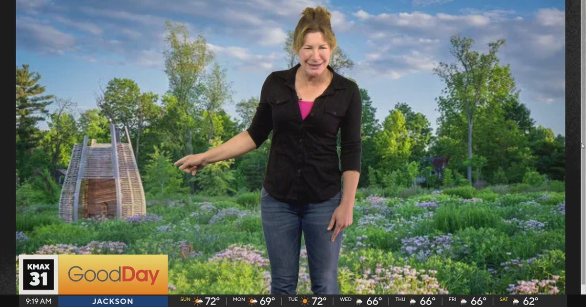 The Plant Lady, 9am - 11/12 - Good Day Sacramento
