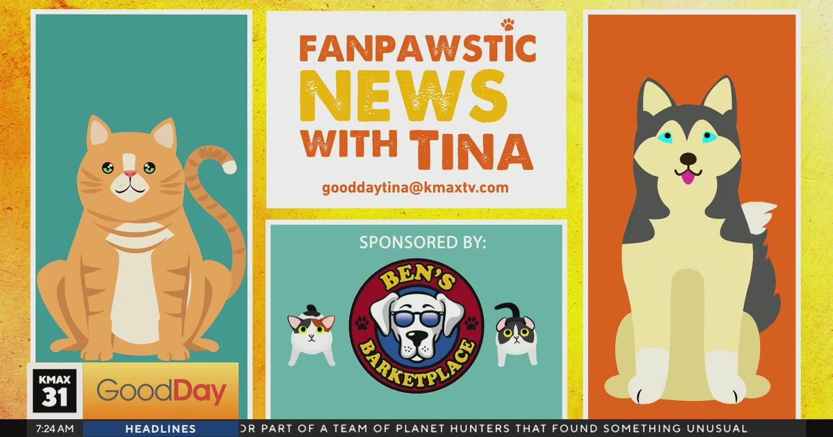 FanPAWstic News - Good Day Sacramento