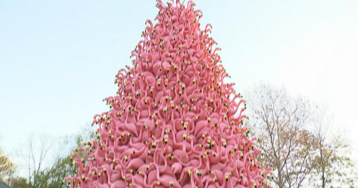 Philadelphia Zoo shimmers with holiday light show LumiNature - CBS ...