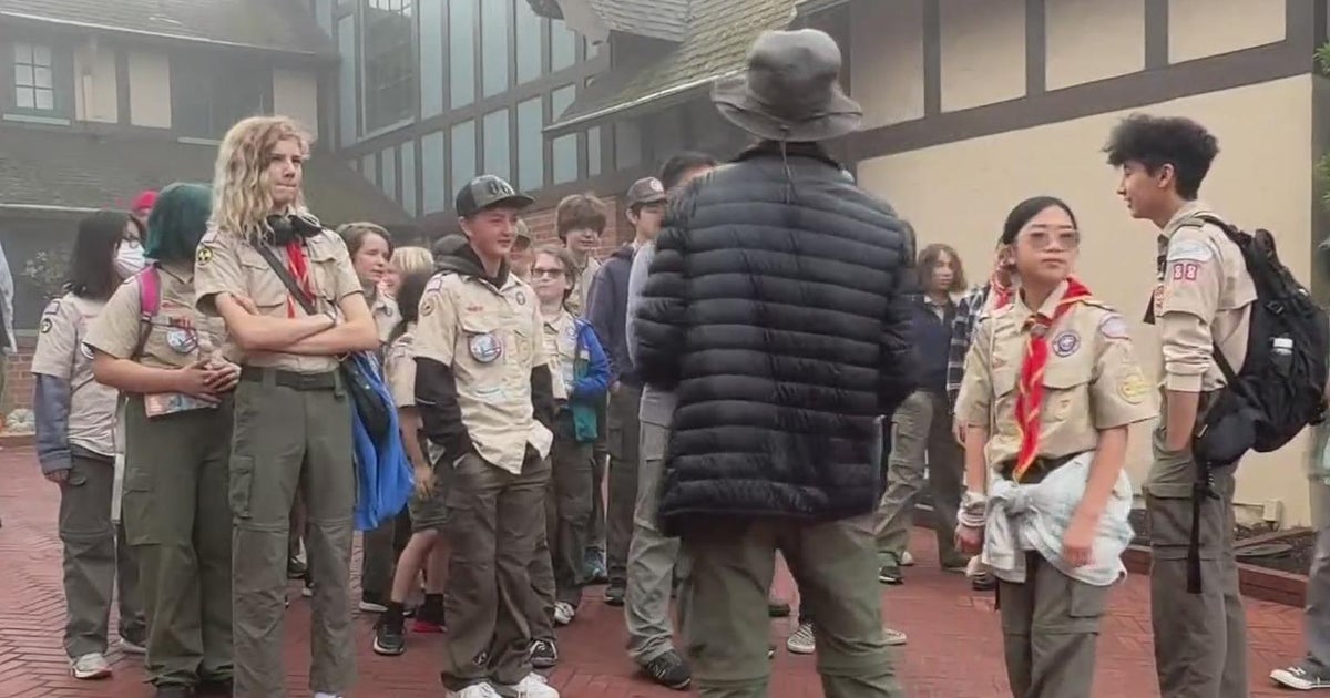 Bay Area scouts work to increase food bank donations with Scouting for ...