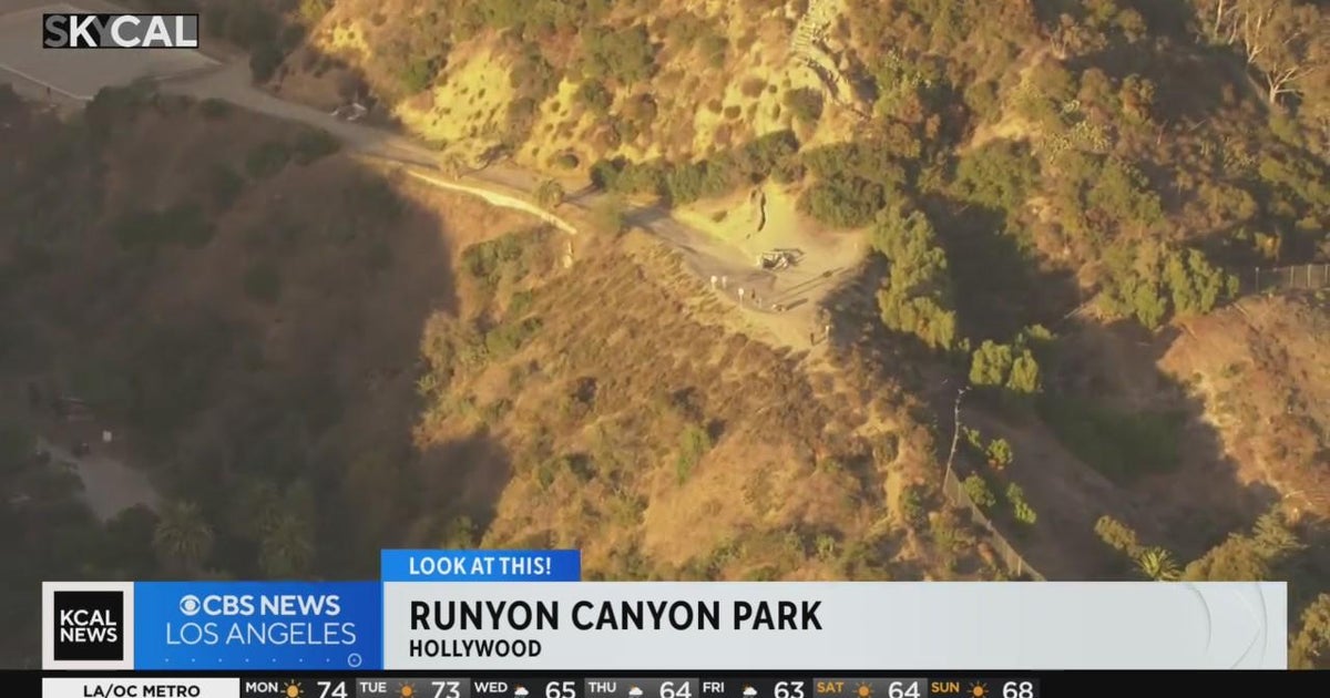 Runyon Canyon Park | Look At This! - CBS Los Angeles