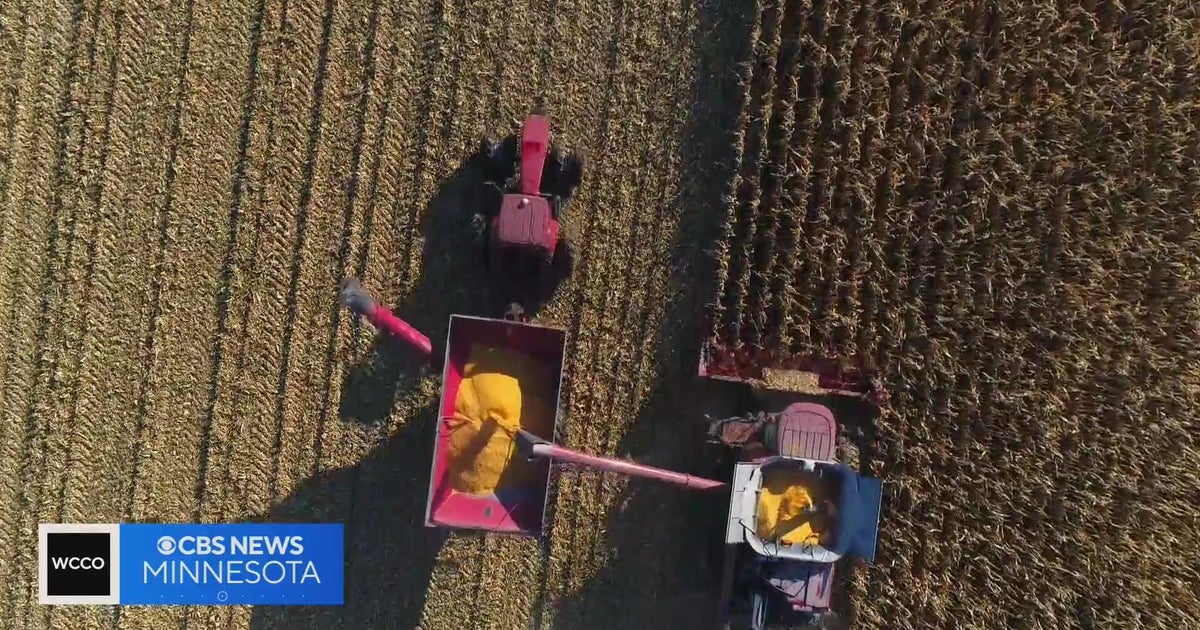 Minnesota’s agricultural zones are changing with climate - CBS Minnesota