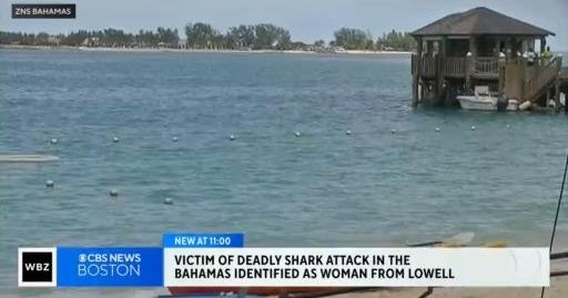 Lowell woman killed in Bahamas shark attack - CBS Boston