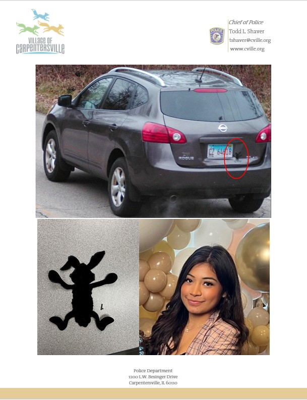 Missing teen Brissa Romero's car found in Chicago area pond, but no ...