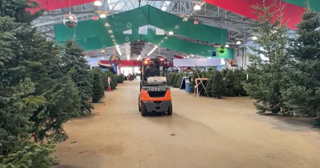 Guardsmen Christmas tree lot marks 75th year raising money for at-risk ...