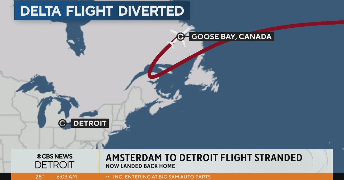 Passengers react after Delta flight headed to Detroit diverted to ...