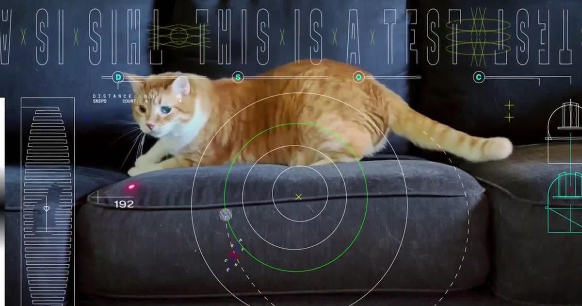 NASA beams cat video 10 million miles across space - CBS Chicago