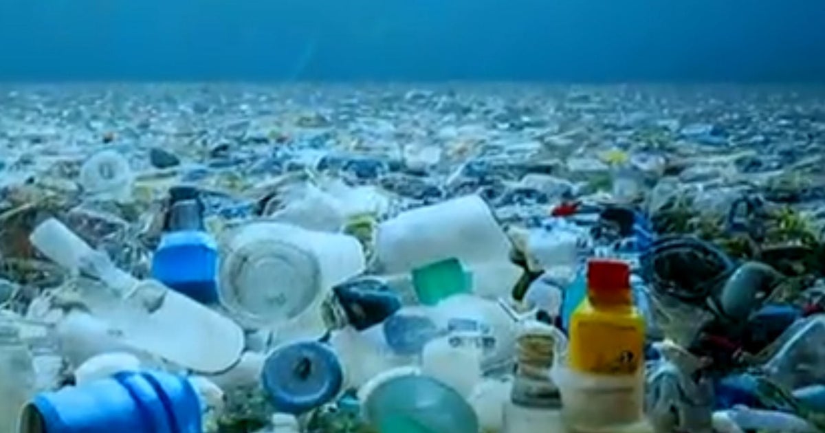 Researchers strive to understand impact of microplastics on the oceans ...
