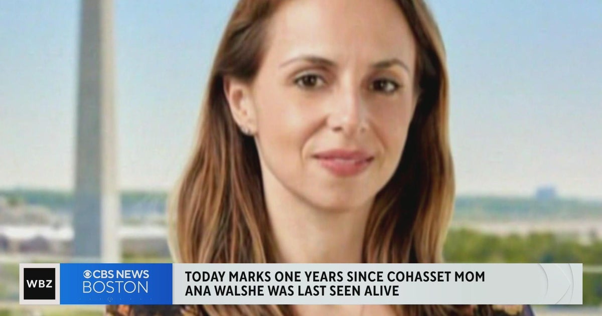 New Year's Day marks one year since Cohasset mother Ana Walshe was last ...