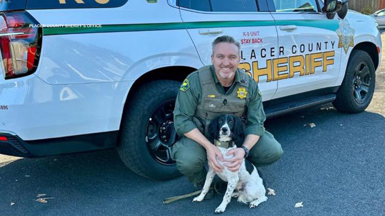 Placer County Sheriff gets its first certified bomb detection dog - CBS ...