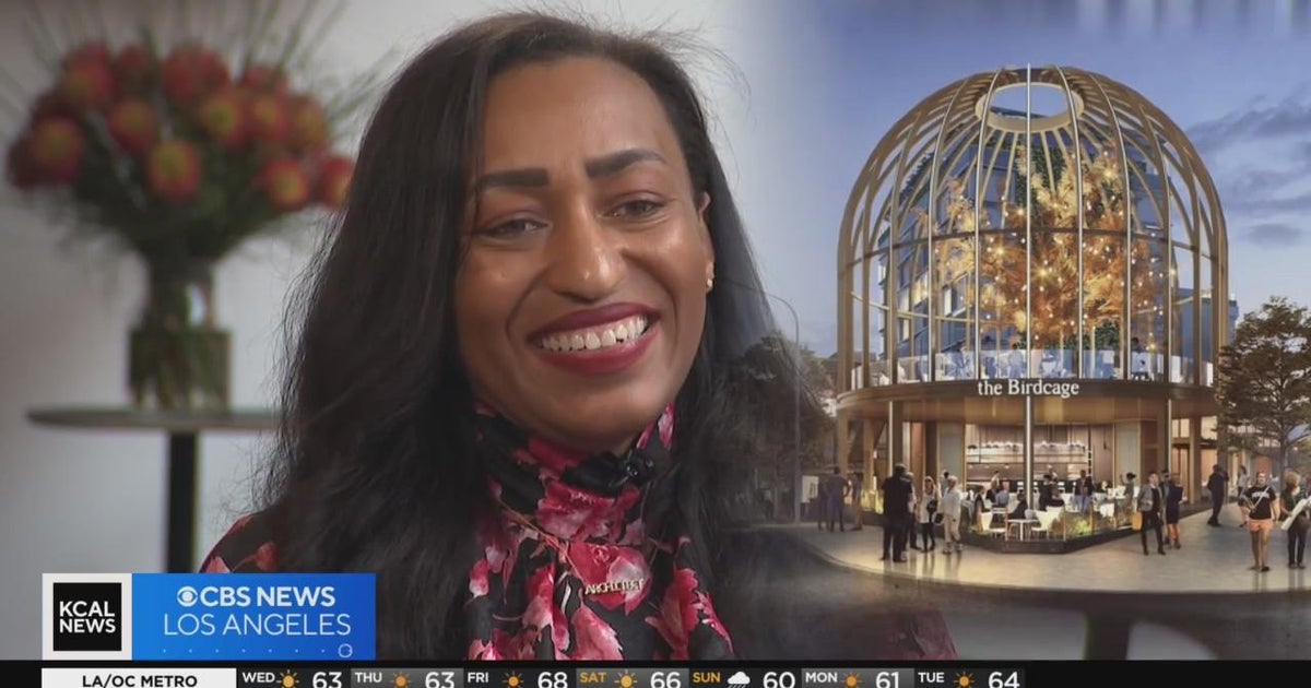 Meet an architect | STEAM - CBS Los Angeles