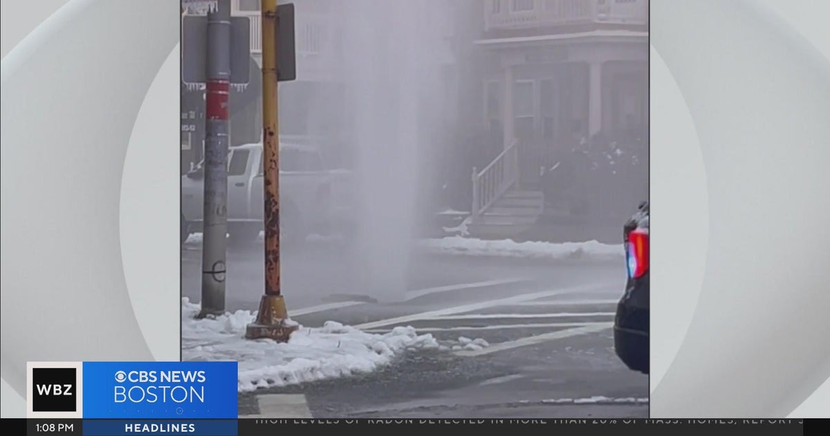 Water shoots high above homes in Lynn after pipe breaks - CBS Boston