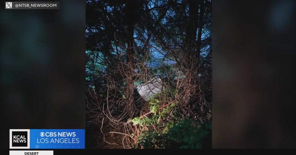 Passenger shares terrifying experience from Alaska Airlines Flight 1282 ...