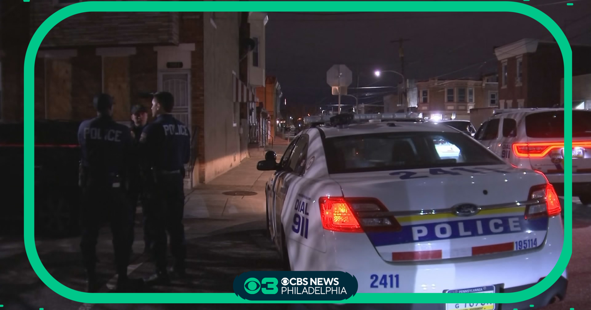Philadelphia police officers shoot pit bull after another dog attacked ...
