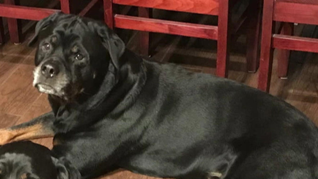 Why did someone want Texas couple Ted and Corey Shaughnessy dead? - CBS ...