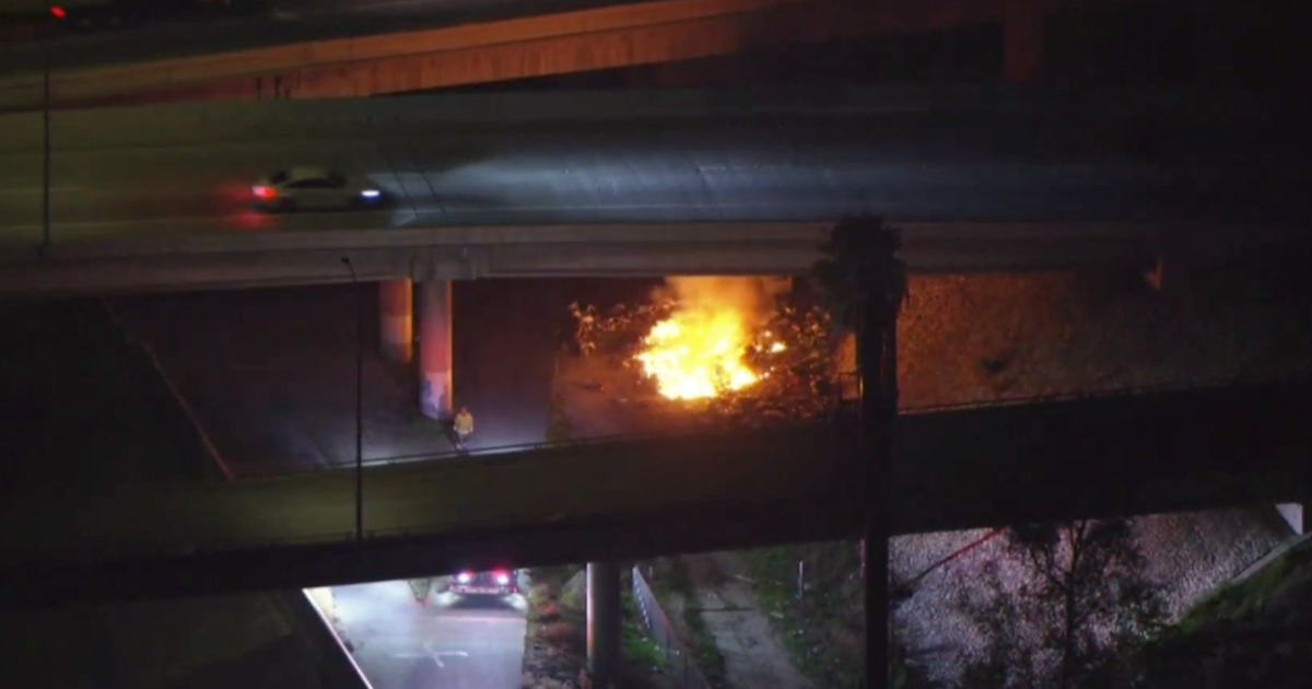 Firefighters quickly handle fire underneath 91 Freeway in Long Beach ...