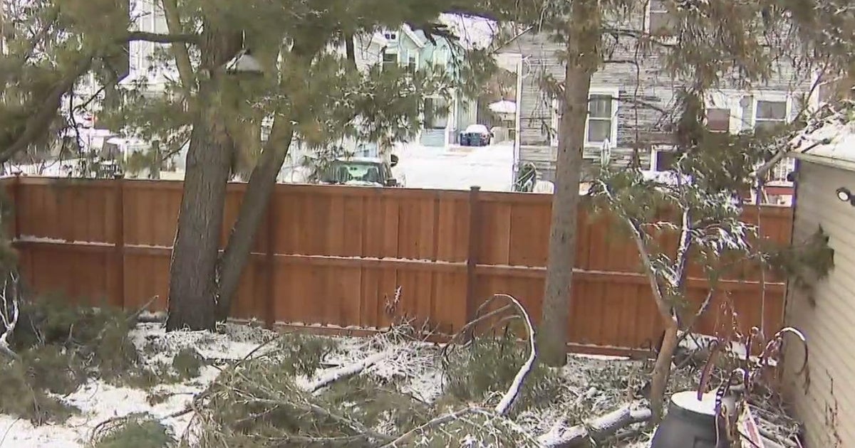 Chicago area homeowner loses tree and power to thundersnow - CBS Chicago