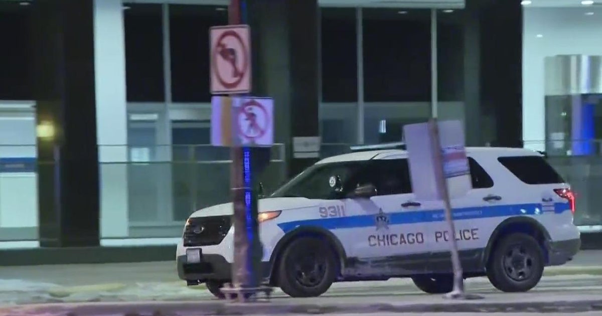 2 Carjacking Suspects Arrested After Spree On Chicago S Near North Side