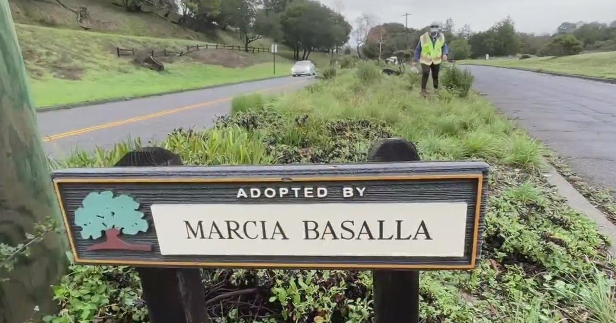 Novato residents locked in fight over median island that was turned ...