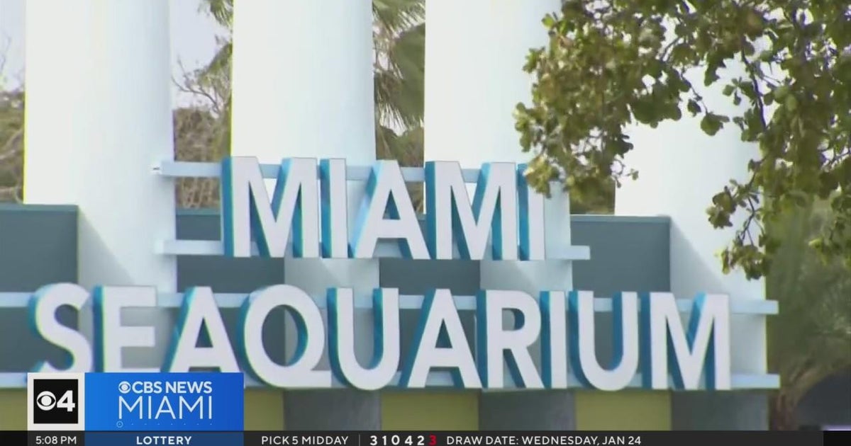 Miami Seaquarium operators release statement - CBS Miami