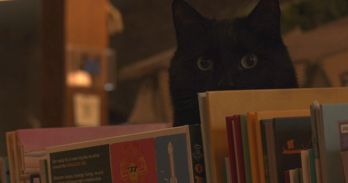 Wild Rumpus bookstore under new ownership - CBS Minnesota