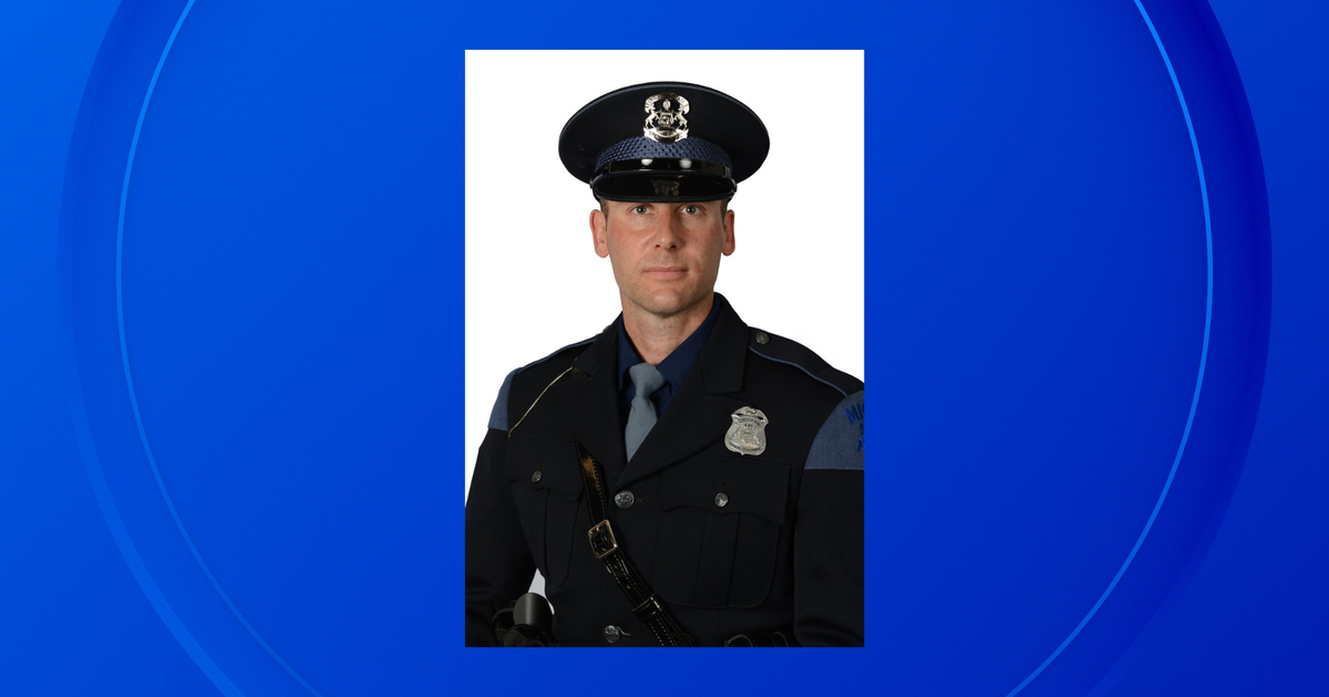 Michigan State Police trooper fatally struck by vehicle during traffic ...