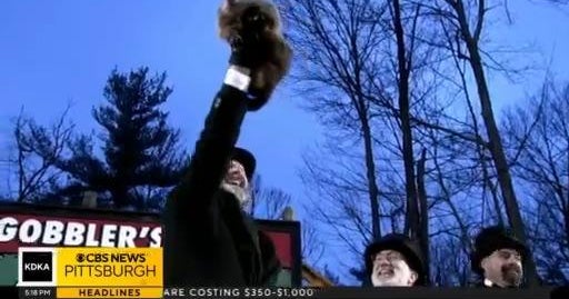 Groundhog Day: Punxsutawney Phil predicts early spring - CBS Pittsburgh