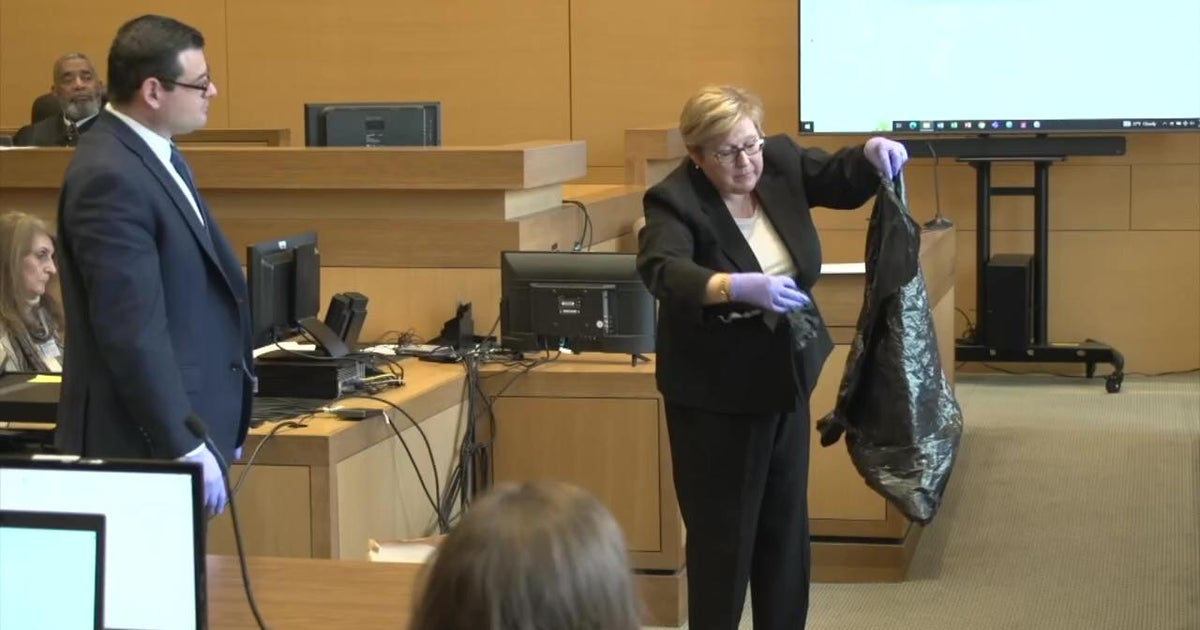 Prosecution laying out its case in painstaking detail in Michelle ...