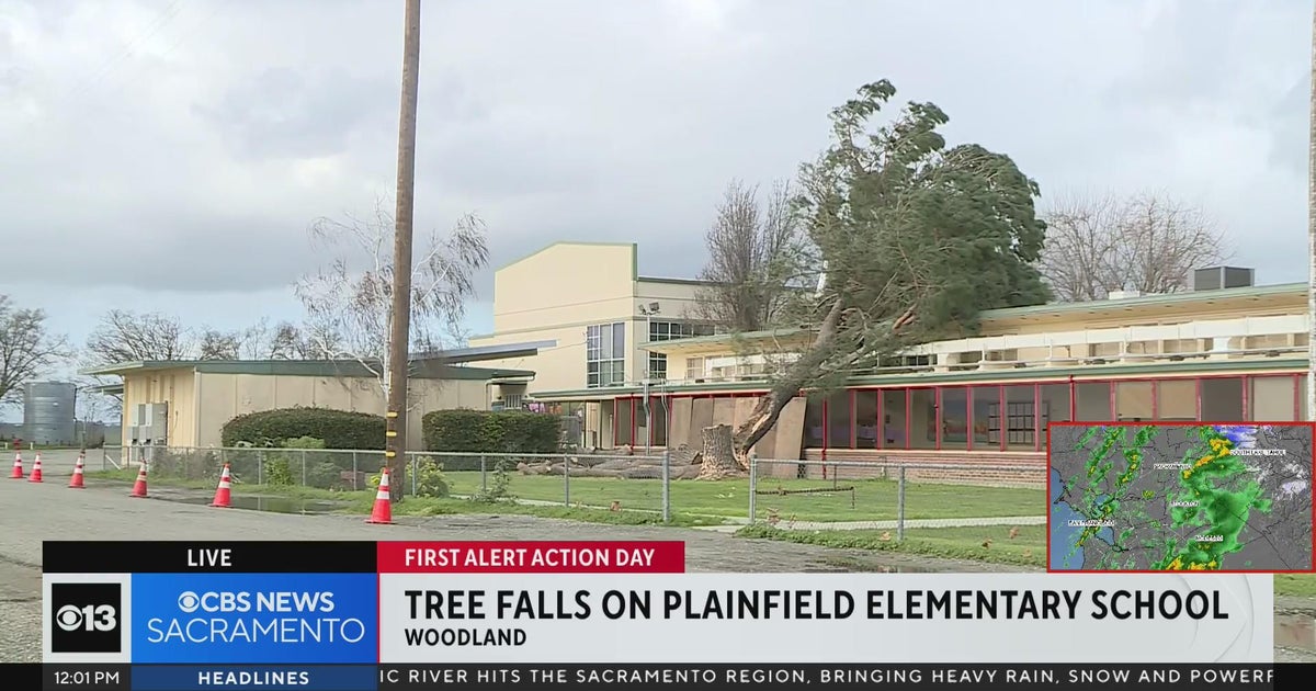 Tree splits and falls onto Woodland-area school - CBS Sacramento