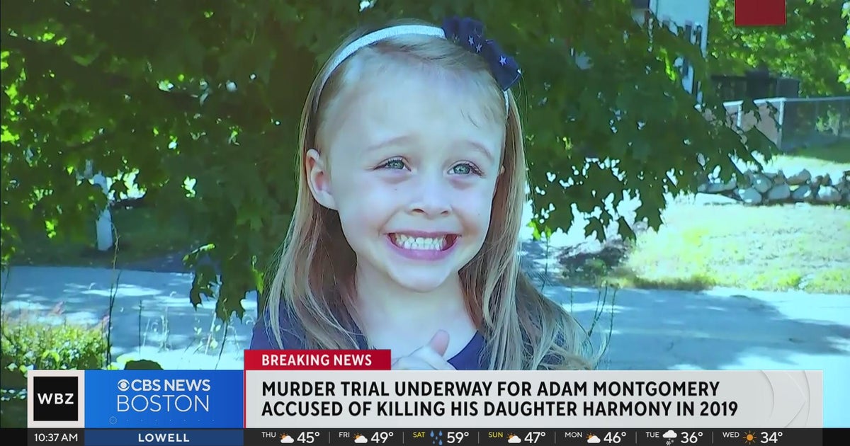 Prosecutors present gruesome details in opening statements of Adam ...